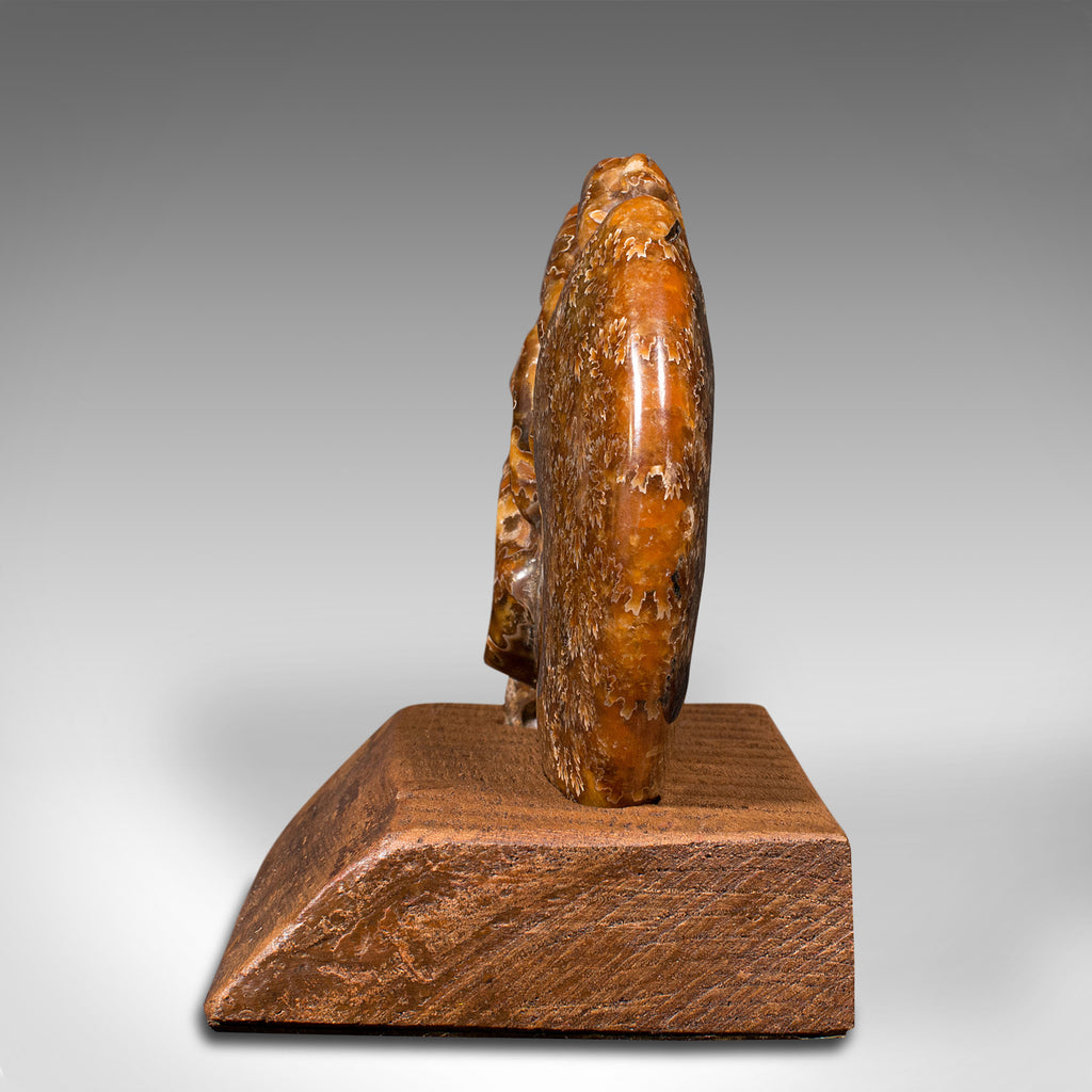 Vintage Carved Decorative Ammonite African Fossil Display Specimen London Fine Antiques