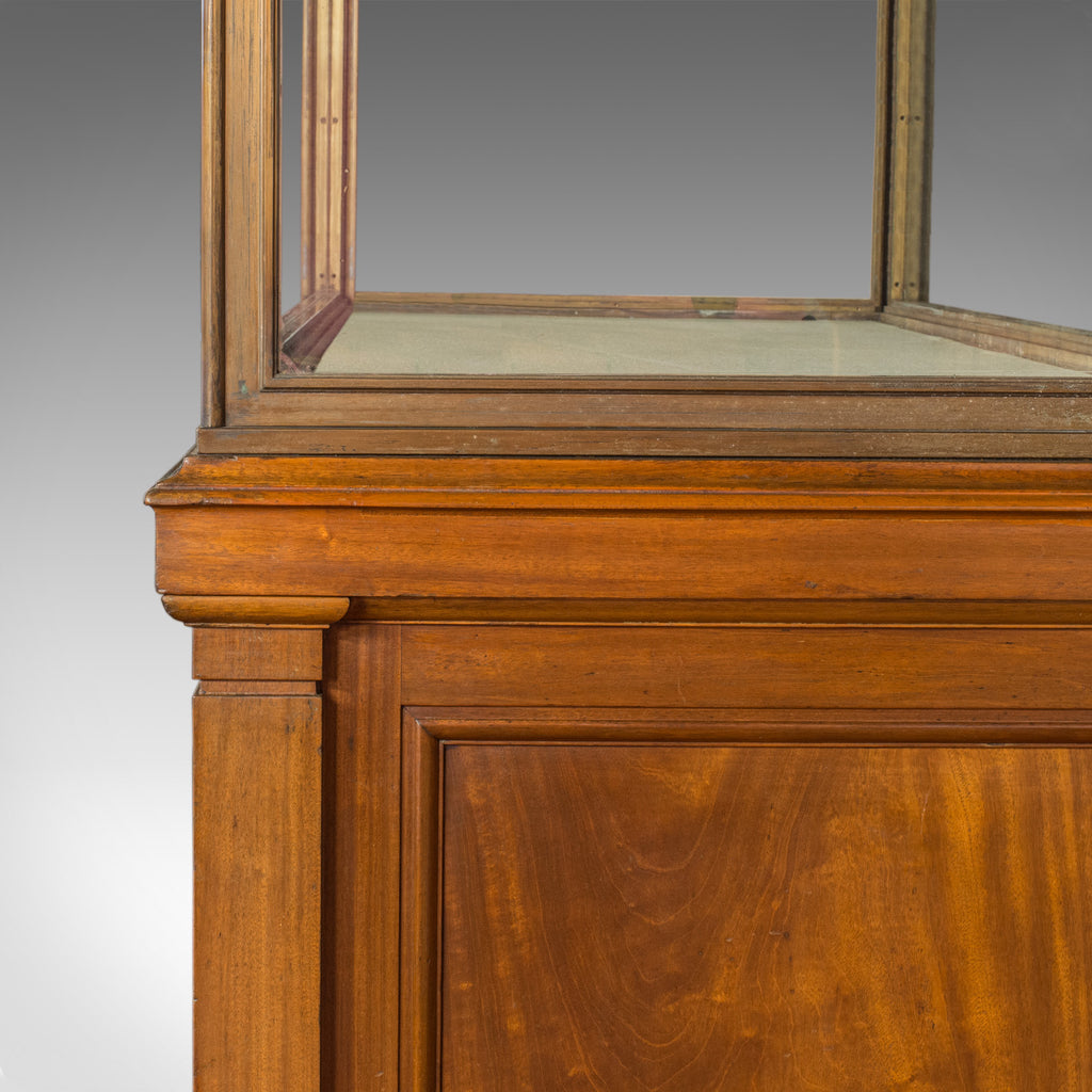 Antique Showcase Cabinet, English, Walnut, Bronze, Display, Museum, Ci ...